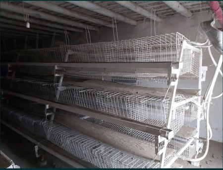 Сдается птицефабрика готовые. Тайёр тавукхона ижарага берилади