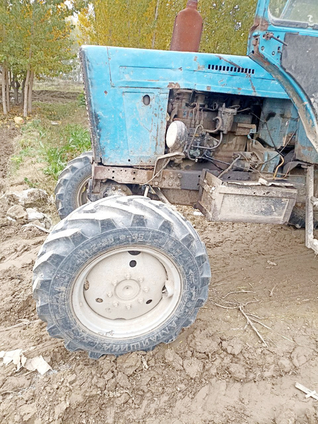 Belarus 82 sotiladi