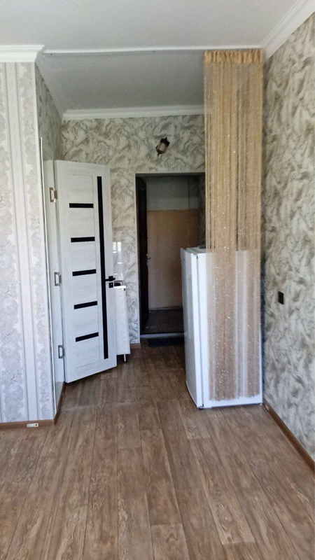 БИЙ метро Максим Горького 1 комн. галерейка