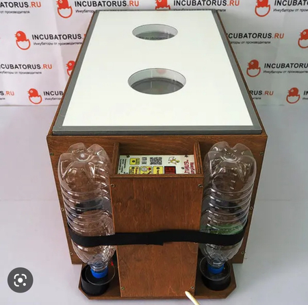 Inkubator xizmati