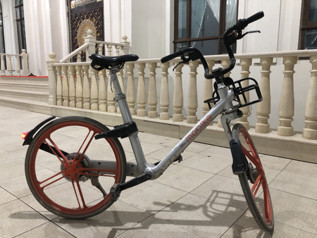 Velik Alumin saka bez kamer