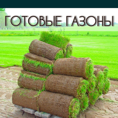 Газон прямо с плантации + доставка + установка