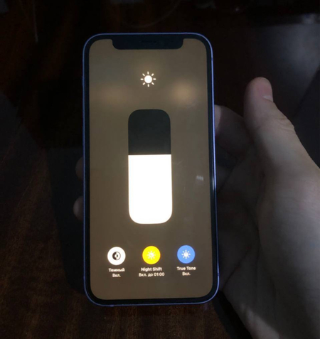 iPhone 12 mini ideal