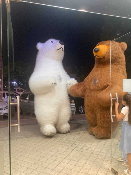 3.5 METR AYIQLAR Kungfu Panda SOTILADI tayyor biznes