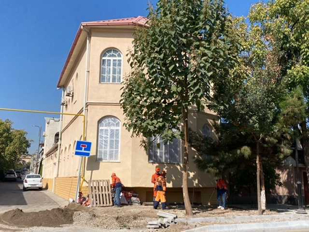 House rent (Arenda doma)