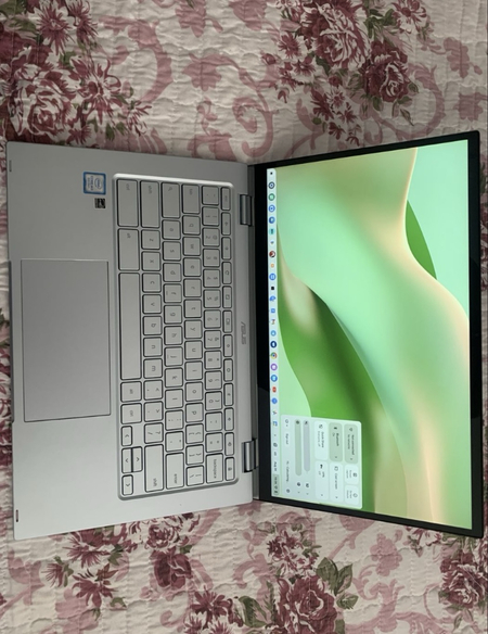 Asus Chromebook 13,0