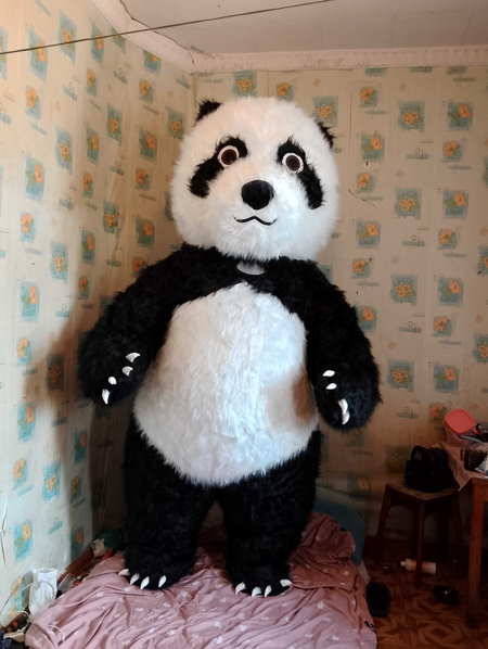 Ayiq va panda shouu