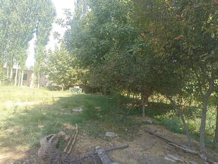 Uchastka sotiladi / продаётся участка