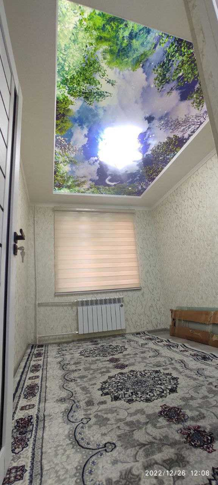 Usta xizmati Master