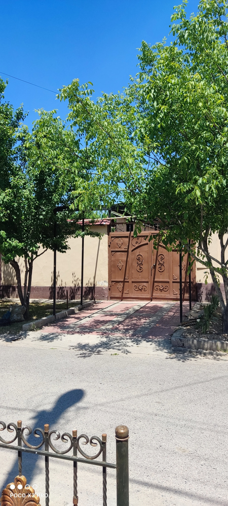Nazarbe najodkor 20