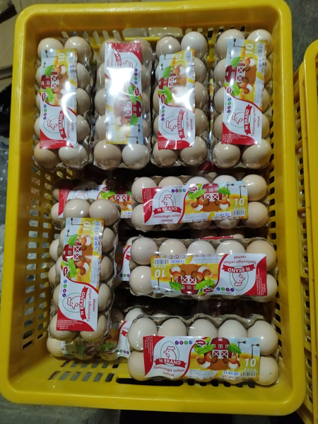 Optom tuxum yetkazib berish. Sifat biz uchun Muxim