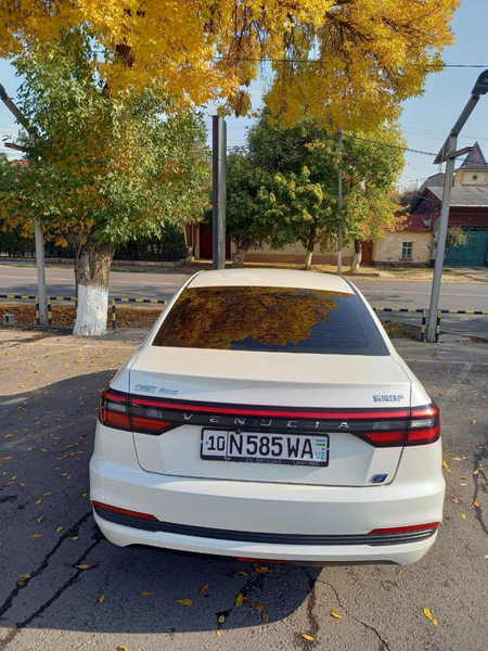 Nissan Venucia  d60