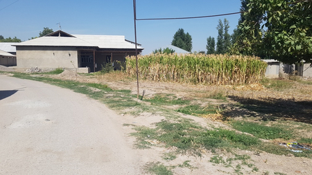 Toshkent viloyati Yuqorichirchiq tumani Bolta maxalla 4 sotik 4 sotix