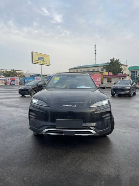 Byd song champion 605