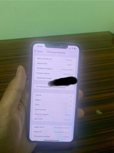 iphone xs max 256gb