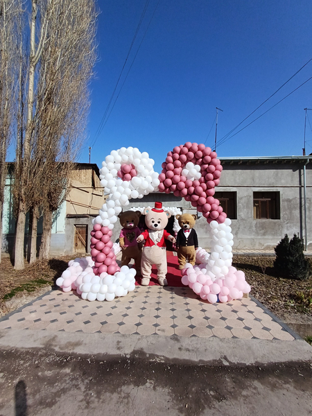 Foto vidio moshin mers afarmlena