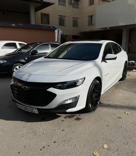 Rent car toshken uzb suxoy arenda avto prokat 24/7