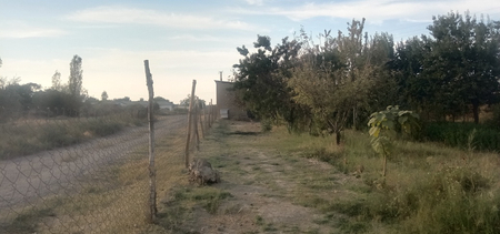 Quriq yer uydan ajiratib sotiladi