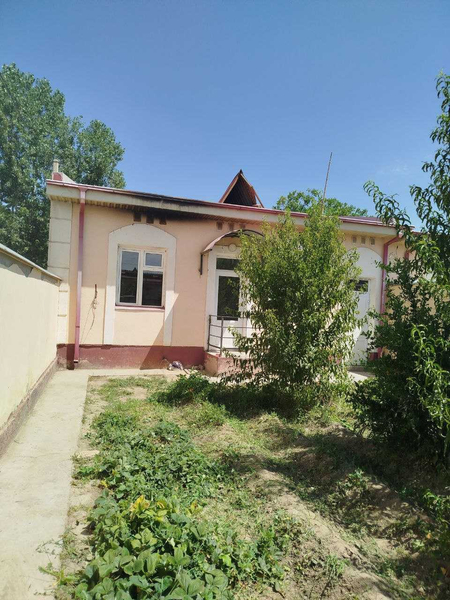 Shrederda kotej sotiladi.