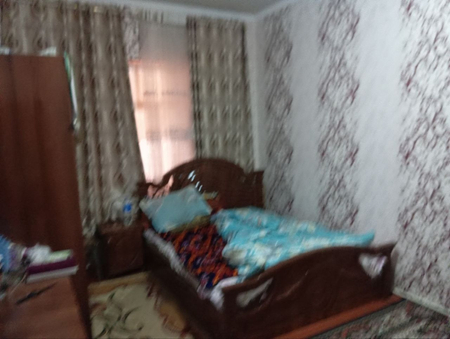Farxod savxozda 6 sutik hovli shinam fayzli uy sotilmoqda