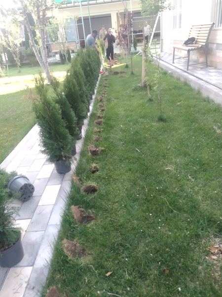 Assalomu aleyküm boğbon xizmati: Archa kesish,gazon strishka,gazon eki