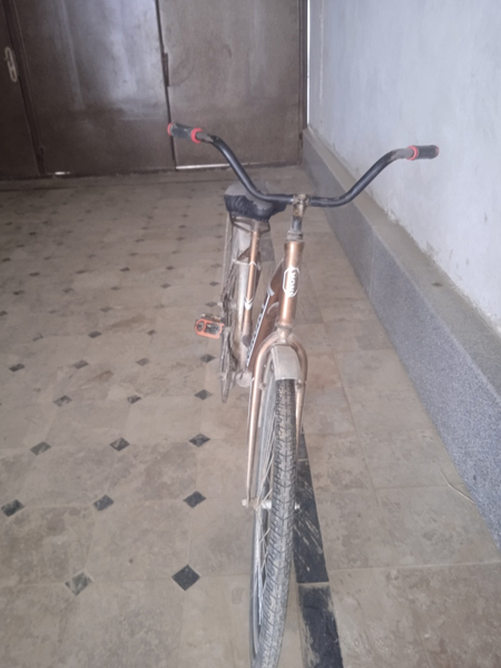 Oddiy velosiped snoky