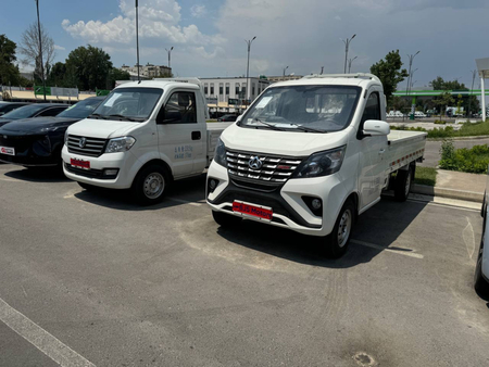 Changan 1022 model