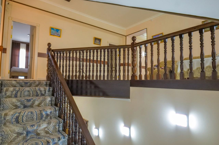 Hostel Ark yonida
