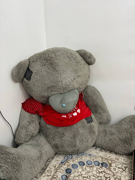 Oʻyinchoq Katta Teddy Ayiq