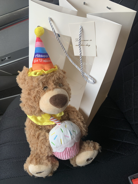 Teddy ayiq qo’shiq aytadi va gapingizni qaytaradi