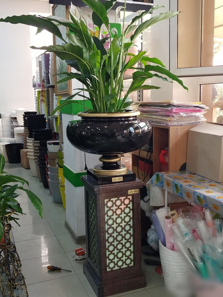 от HOUSE DECOR вазоны