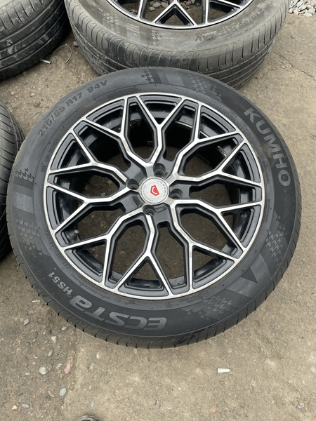 17 Vossen diska balon