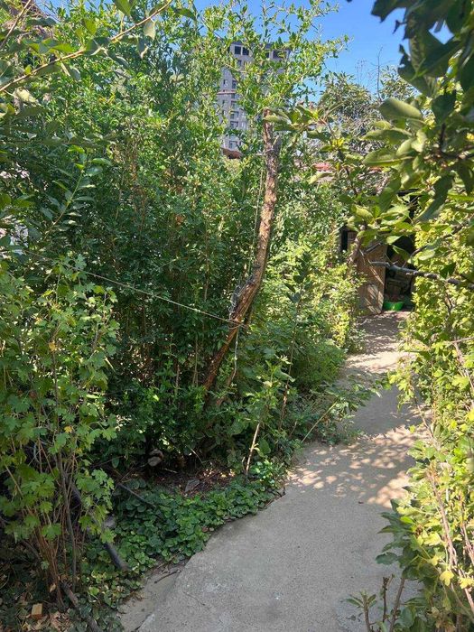 Срочно продам участок в центре (4.4 сотки),Мирабадский район.