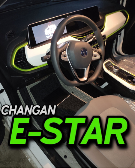 9D polik / коврики для Changan Ben Ben E Star
