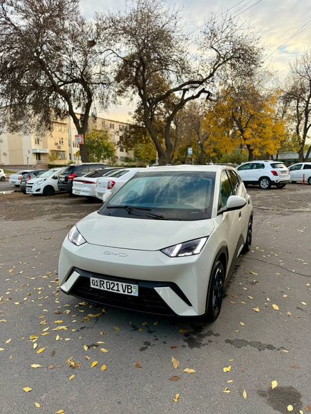 Arenda vikup. BYD seagull. 2023.