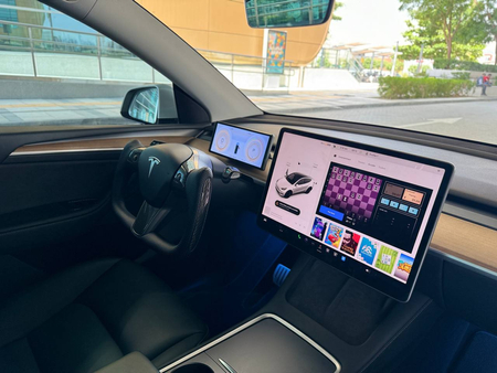 tesla.y radnoy 100%