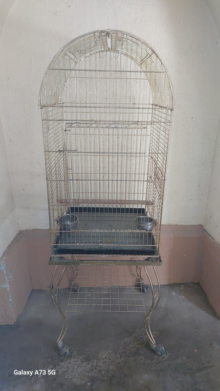 Kletka sotiladi xolati yaxshi 50×50 eni balanligi 90 sm umumy boyi 1.5