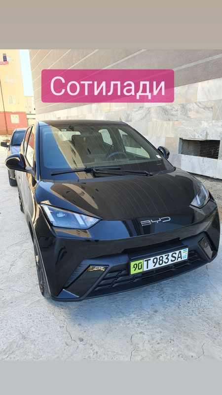 Byd seagull sotiladi 2023y