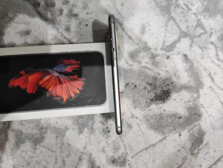 iphone 6s 16g usta kormagan