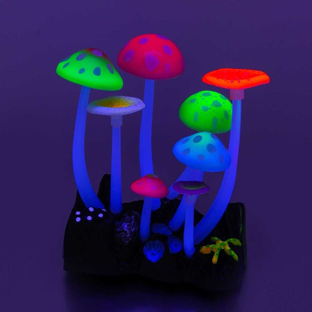 korongida yonadigan buyok neon 'Night life' Spain dahshat!