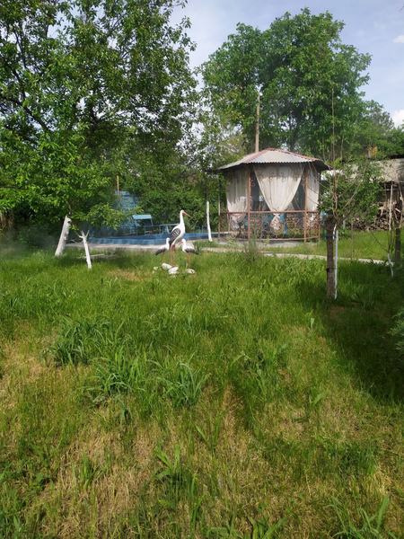 Срочно продается дом 6 соток в Янги Узбекистан.