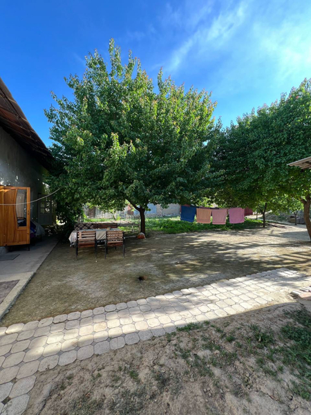 Hovli uchastka 8 sotix