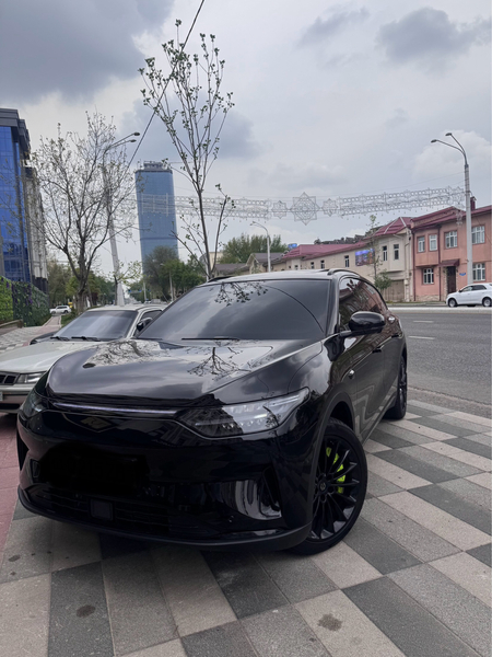 Leapmotor C11 Performance