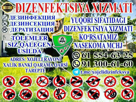 Dizenfeksya islimiz garantya