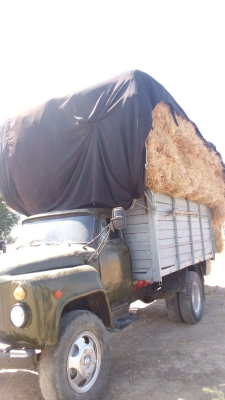 Gaz 53 xaloti alo