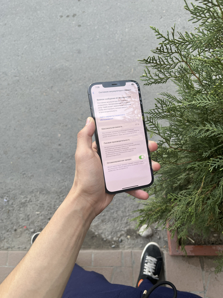 iPhone 12 pro max  ideal
