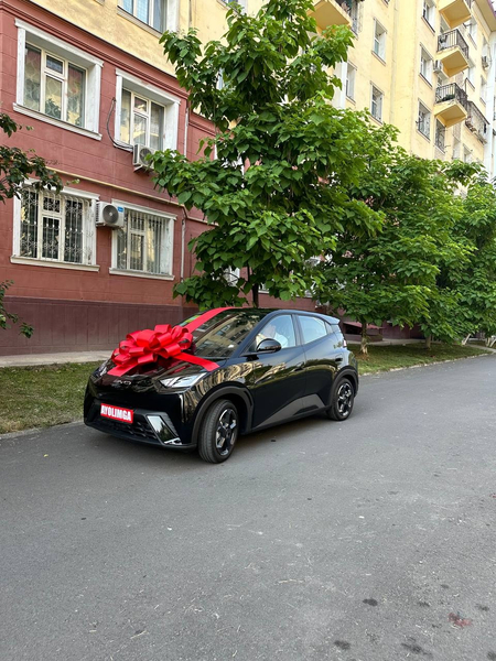 Podarichniy bantik mashinaga, bantik mashinaga