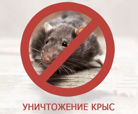 Дезинфекция.Dezinfeksya.Skidka 15%