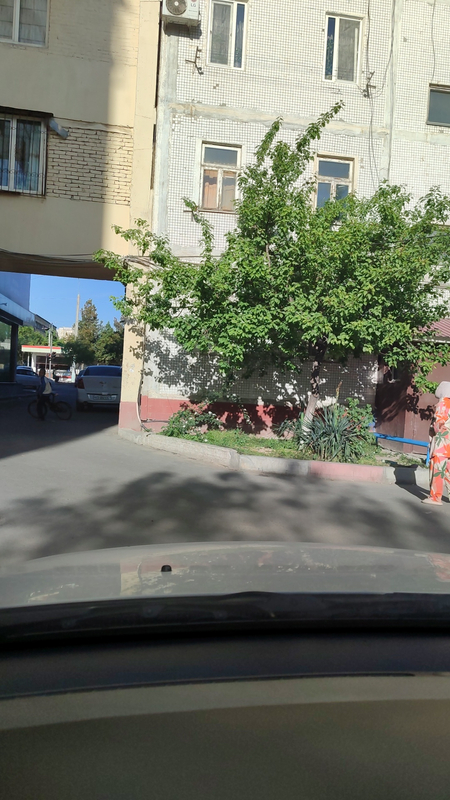 Продается 2ком на Алгоритме