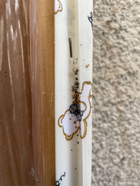 Средство от клопов из США - OODIX bed bug.  Klopa dori-OODIX bed bug.